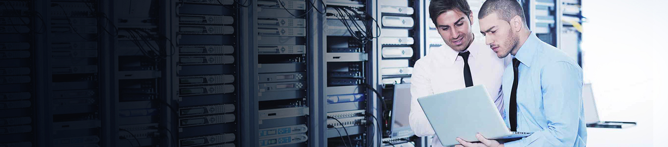 Career - Wurzel Infotech